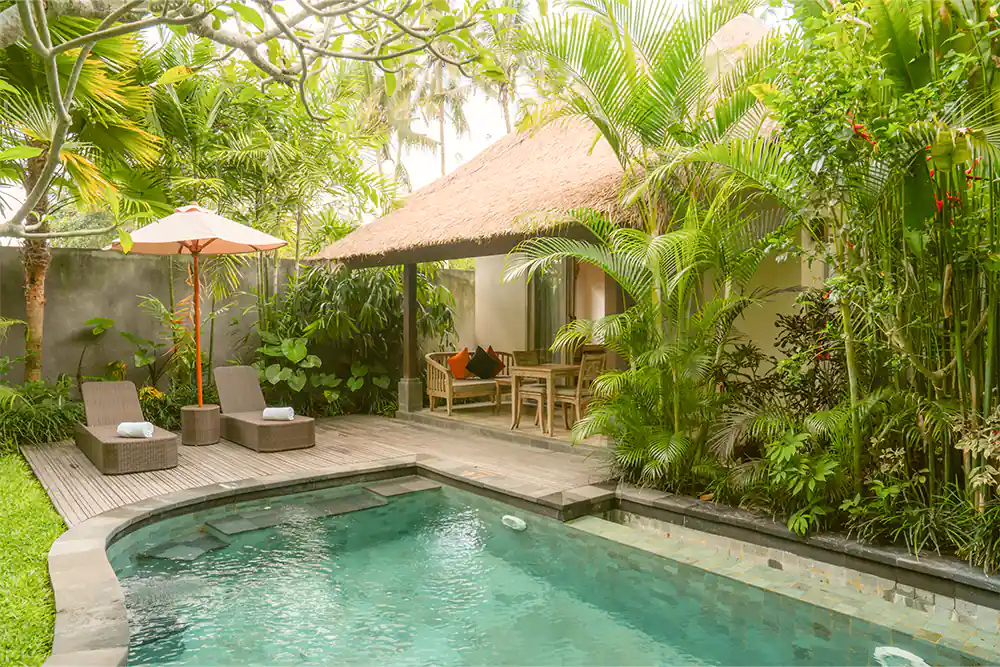 Revitalizing Journeys in Ubud – Wellness, Spa & Tranquil Escape